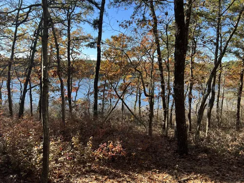 Best Hikes and Trails in Flax Pond Conservation Land | AllTrails