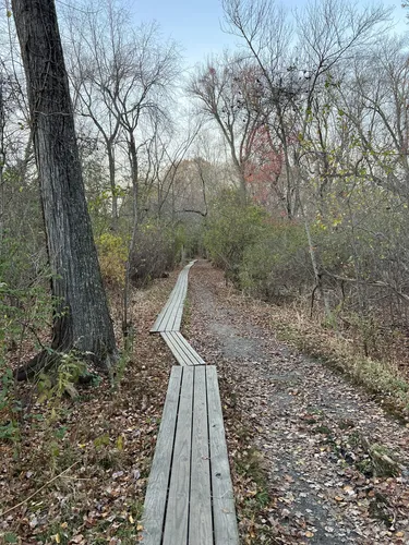 Best Hikes and Trails in Cold Spring Park | AllTrails