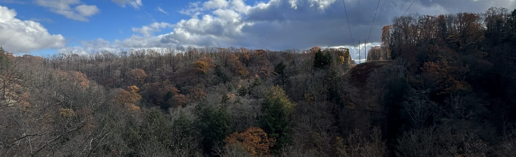 Wintergreen Gorge Trail, Pennsylvania - 443 Reviews, Map | AllTrails