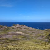 ʻŌhai Trail Loop, Maui, Hawaii - 789 Reviews, Map | AllTrails
