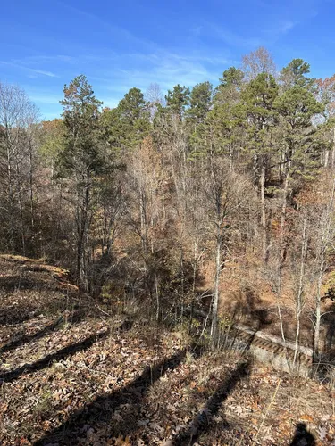 Best Hikes and Trails in Big Hill Pond State Park | AllTrails