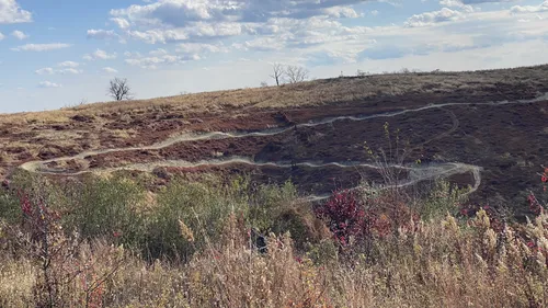 Best Hikes and Trails in Trexler Nature Preserve | AllTrails