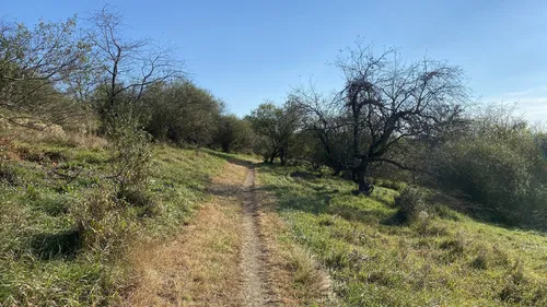 Best Hikes and Trails in Trexler Nature Preserve | AllTrails