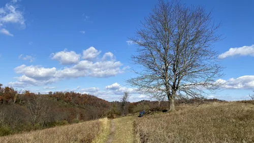 Best Hikes and Trails in Trexler Nature Preserve | AllTrails