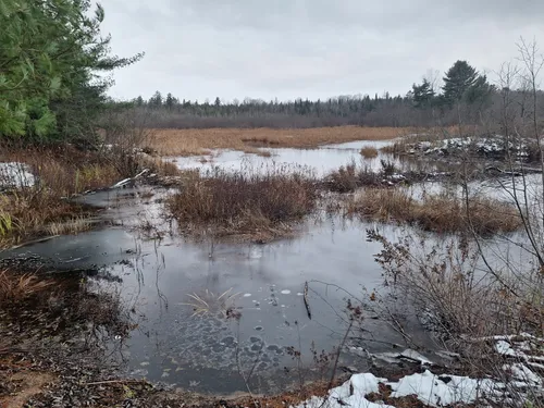 Best Hikes and Trails in Deep River | AllTrails