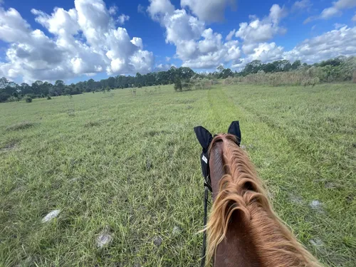 Best Hikes and Trails in Bluefield Preserve | AllTrails