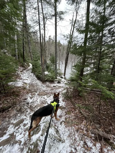 Saint-Mathieu-du-Parc : les meilleures randonnées avec une cascade en ...