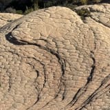 Yellow Knolls Trail, Utah - 437 Reviews, Map | AllTrails