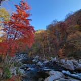 Linville Gorge Grand Loop, North Carolina - 472 Reviews, Map | AllTrails
