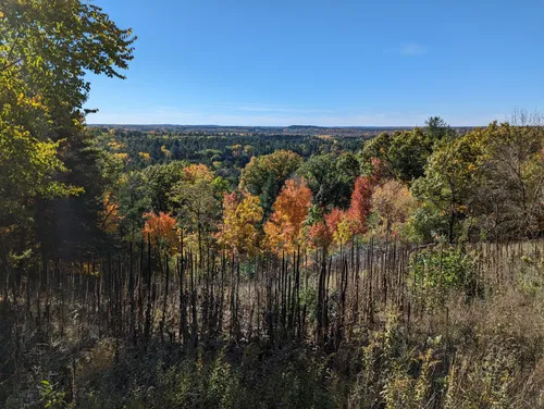 Best Hikes and Trails in Mount Morris Hills County Park | AllTrails