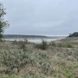 Good Water Trail from Cedar Breaks, Texas - 704 Reviews, Map | AllTrails