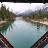 Bow River Loop, Alberta, Canada - 1,571 Reviews, Map | AllTrails