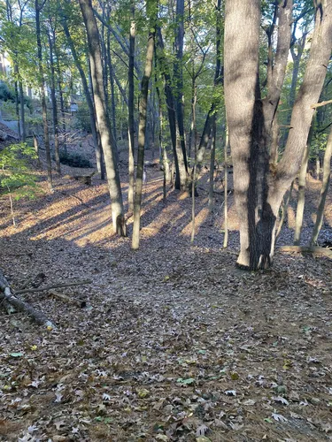 Best Hikes and Trails in Cold Spring Park | AllTrails