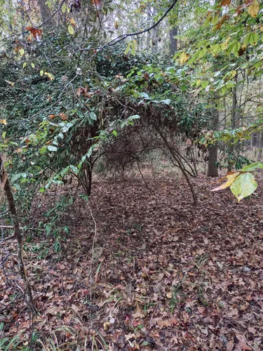 2023 Best Wildlife Trails in Goose Creek | AllTrails