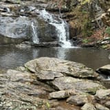 Cochran Mill Loop 1 and 2 (Orange), Georgia - 794 Reviews, Map | AllTrails