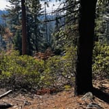 Viola Falls, California - 371 Reviews, Map | AllTrails