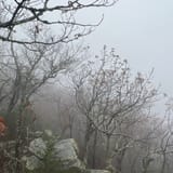 (Doug Ghee) Bald Rock Boardwalk, Alabama - 531 Reviews, Map | AllTrails