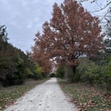 Longview Lake and Little Blue River, Missouri - 703 Reviews, Map ...