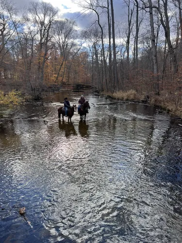 Best Hikes and Trails in Fred Russ State Forest | AllTrails