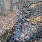 Mount Toby Trail, Massachusetts - 1,021 Reviews, Map | AllTrails