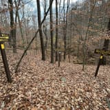 Gerard Hiking Trail, Pennsylvania - 300 Reviews, Map | AllTrails