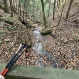 Gerard Hiking Trail, Pennsylvania - 296 Reviews, Map | AllTrails
