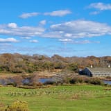 Paumanok Path, New York - 126 Reviews, Map | AllTrails