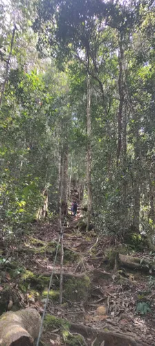 10 Best Walking Trails in Nanga Medamit | AllTrails