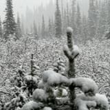 Royal Basin and Royal Lake, Washington - 645 Reviews, Map | AllTrails