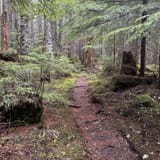 Royal Basin and Royal Lake, Washington - 645 Reviews, Map | AllTrails