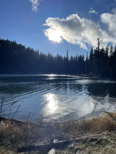 Best Hikes and Trails in McConnell Lake Provincial Park | AllTrails