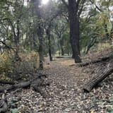 The Meadows Slough Trail, California - 449 Reviews, Map | AllTrails