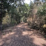 The Meadows Slough Trail, California - 393 Reviews, Map | AllTrails