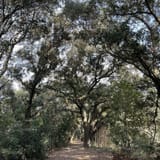 The Meadows Slough Trail, California - 449 Reviews, Map | AllTrails