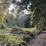 The Meadows Slough Trail, California - 449 Reviews, Map | AllTrails