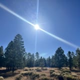 Campbell Mesa Loop, Arizona - 1,245 Reviews, Map | AllTrails