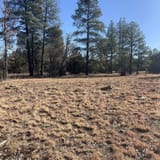 Campbell Mesa Loop, Arizona - 1,245 Reviews, Map | AllTrails