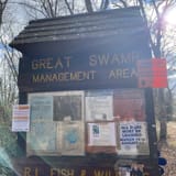 Great Swamp Trail, Rhode Island - 851 Reviews, Map | AllTrails