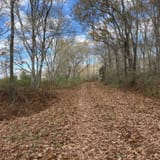 Great Swamp Trail, Rhode Island - 851 Reviews, Map | AllTrails