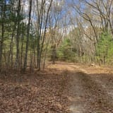 Great Swamp Trail, Rhode Island - 847 Reviews, Map | AllTrails