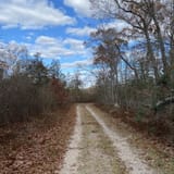 Great Swamp Trail, Rhode Island - 851 Reviews, Map | AllTrails