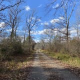 Great Swamp Trail, Rhode Island - 851 Reviews, Map | AllTrails