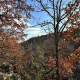 Keystone Ancient Forest Falls Trail, Oklahoma - 655 Reviews, Map ...