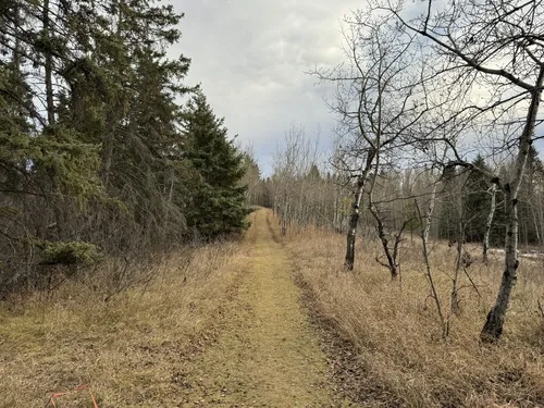 Best Moderate Trails in Red Deer | AllTrails