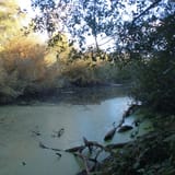 Spring Lake Loop, California - 1,465 Reviews, Map | AllTrails