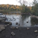 Spring Lake Loop, California - 1,465 Reviews, Map | AllTrails