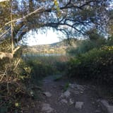 Spring Lake Loop, California - 1,465 Reviews, Map | AllTrails