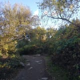 Spring Lake Loop, California - 1,465 Reviews, Map | AllTrails