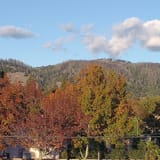 Spring Lake Loop, California - 1,465 Reviews, Map | AllTrails