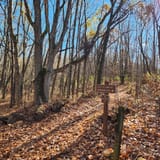 Chief Pontiac Hiking Trail, Michigan - 72 Reviews, Map | AllTrails